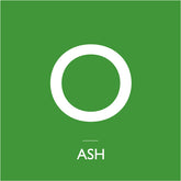 CATALOGUE | ASH BAND OFFICIAL STORE – Ash Official Store