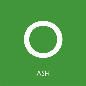 CATALOGUE | ASH BAND OFFICIAL STORE – Ash Official Store